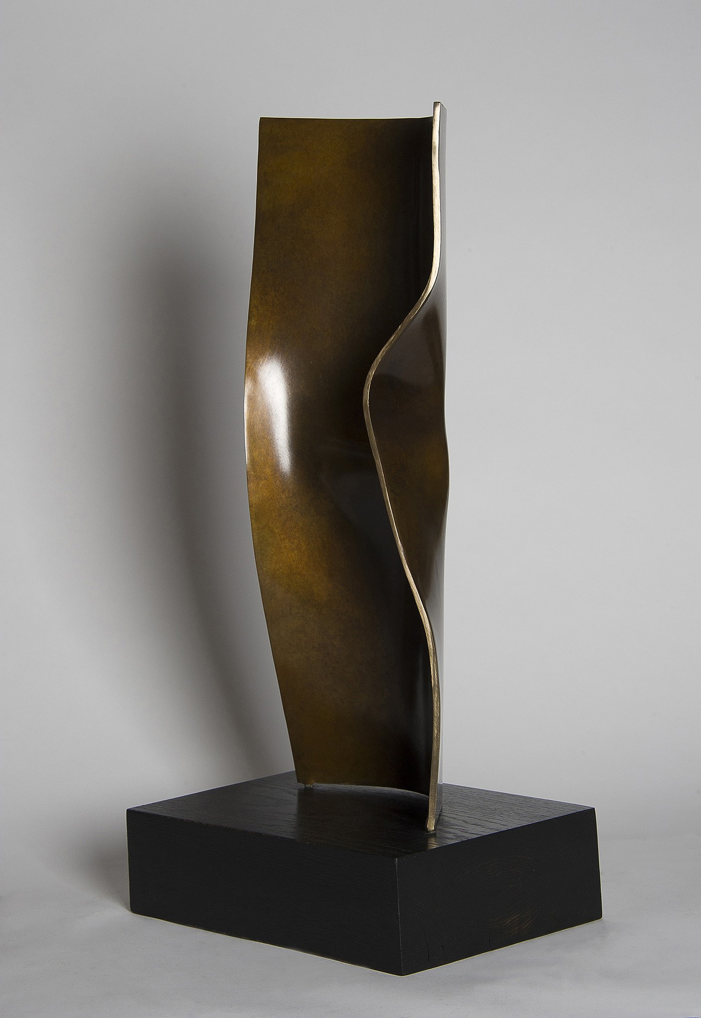 Joe Gitterman | Works | Gitterman Gallery Web Site