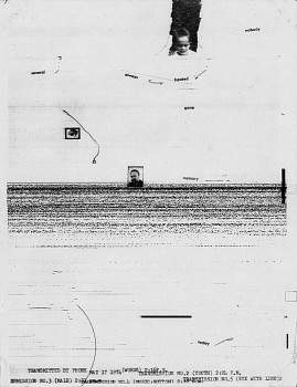 William Larson | Works | Gitterman Gallery Web Site